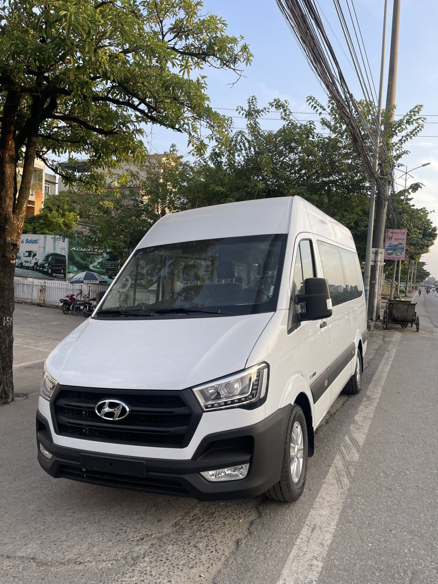 HYUNDAI SOLATI D
